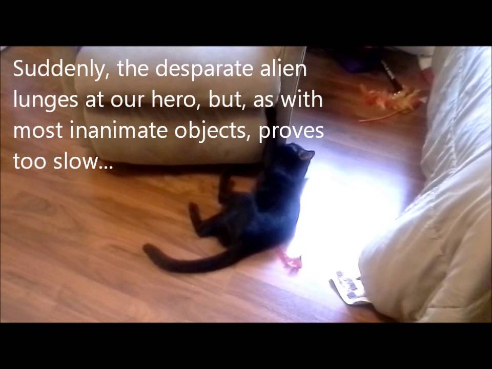 Wiley versus Evil Leash - YouTube