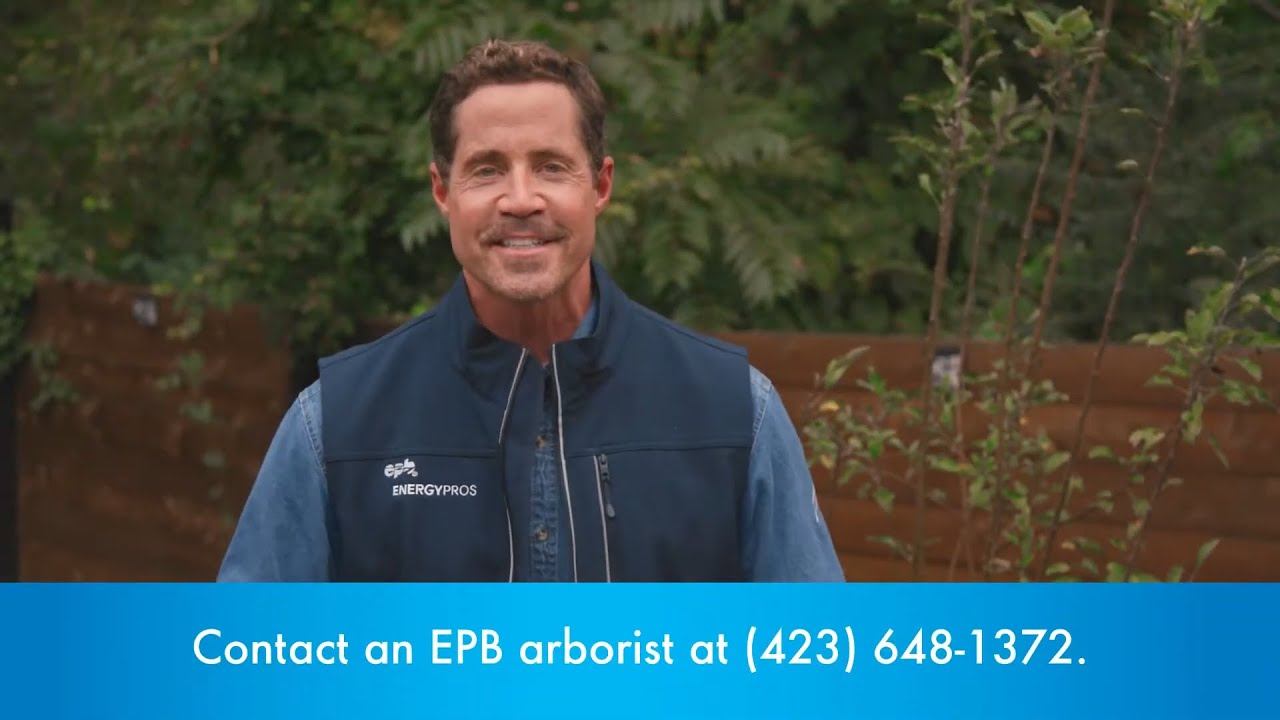 Taking Care Of Your Trees | EPB Energy Pros - YouTube