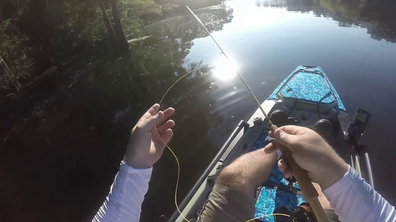 Henderson Swamp Louisiana - YouTube