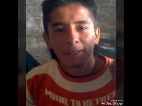 TU    ---   PERRO CALLEJERO