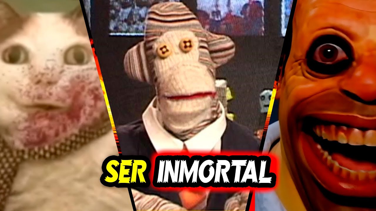 Buu ese GATO es muy TURBIO Kush cat y Retolam - YouTube