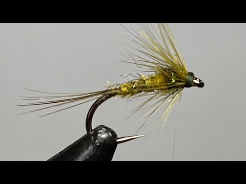 Olive damsel cruncher - YouTube