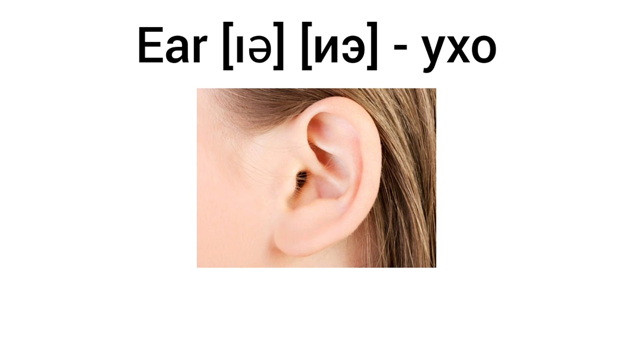 How to Pronounce ear in English - YouTube