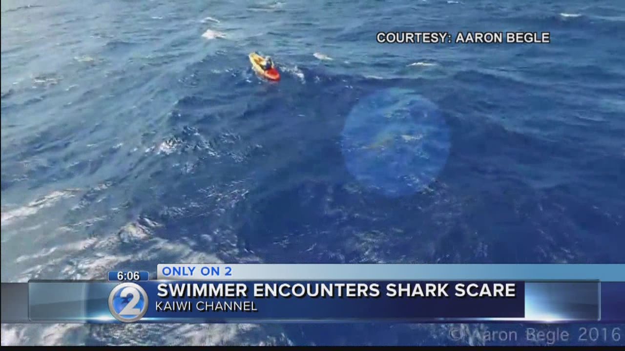 Caught on camera: Sharks join woman on Kaiwi Channel swim - YouTube