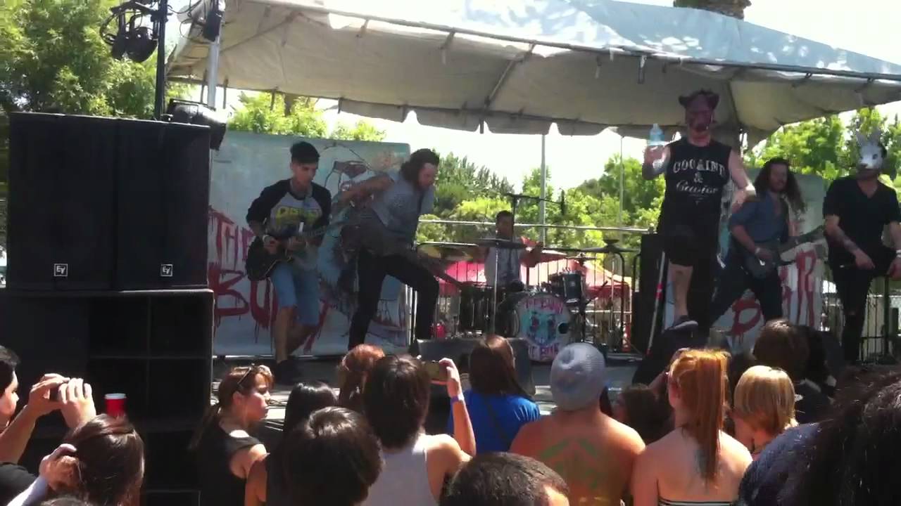 The Bunny the Bear live @ Rockin Roots 2012 - YouTube