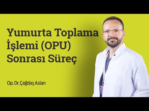Yumurta Toplama İşlemi (OPU) Sonrası Süreç