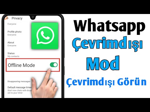 WhatsApp'ta Çevrimdışı Görünme (2025) | WhatsApp Çevrimdışı Modu