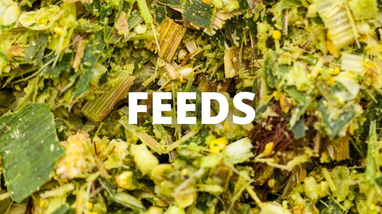 Class 05 - Managing Feed Ingredients: Adding, Editing, and Saving (NRC ...