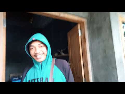 plecit dan nasabah bayar angsuran lancar