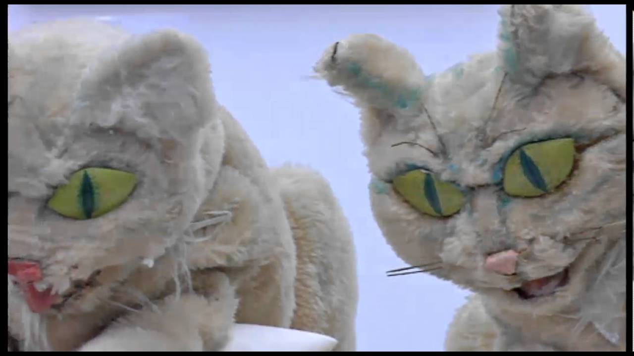 computer cat (from ABC's Hunter) r944067 10016349 - YouTube