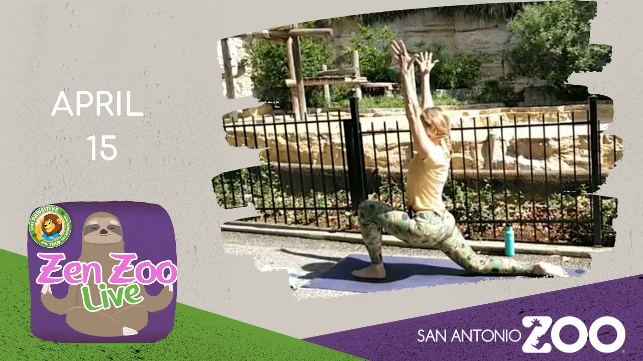 Zen Zoo - April 15 - YouTube