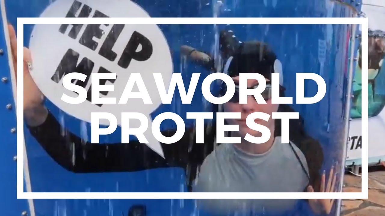 Boycott SeaWorld Day 2018 - YouTube