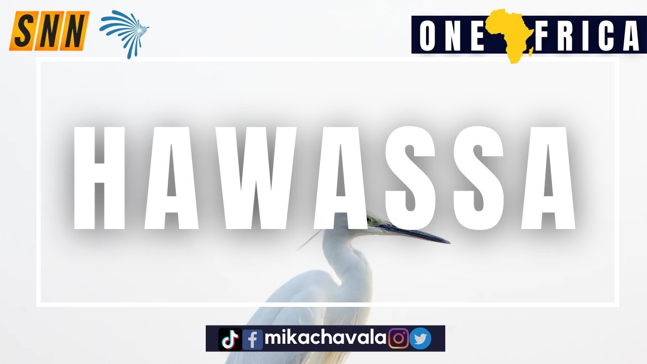 Hawassa 🇪🇹 Compilation | One Africa - YouTube