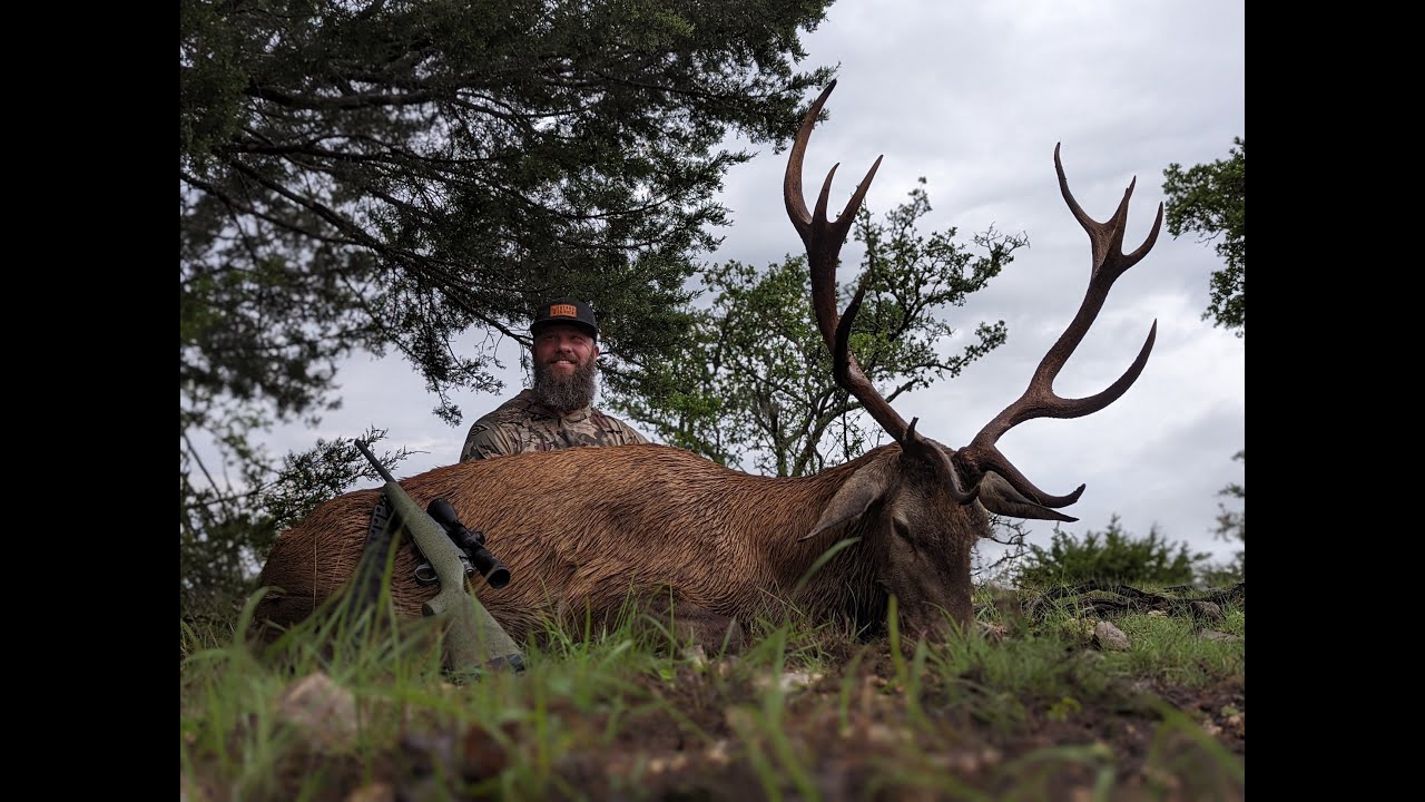 South Texas Exotic Hunting! Cherokee Ranch Red Stag! - YouTube