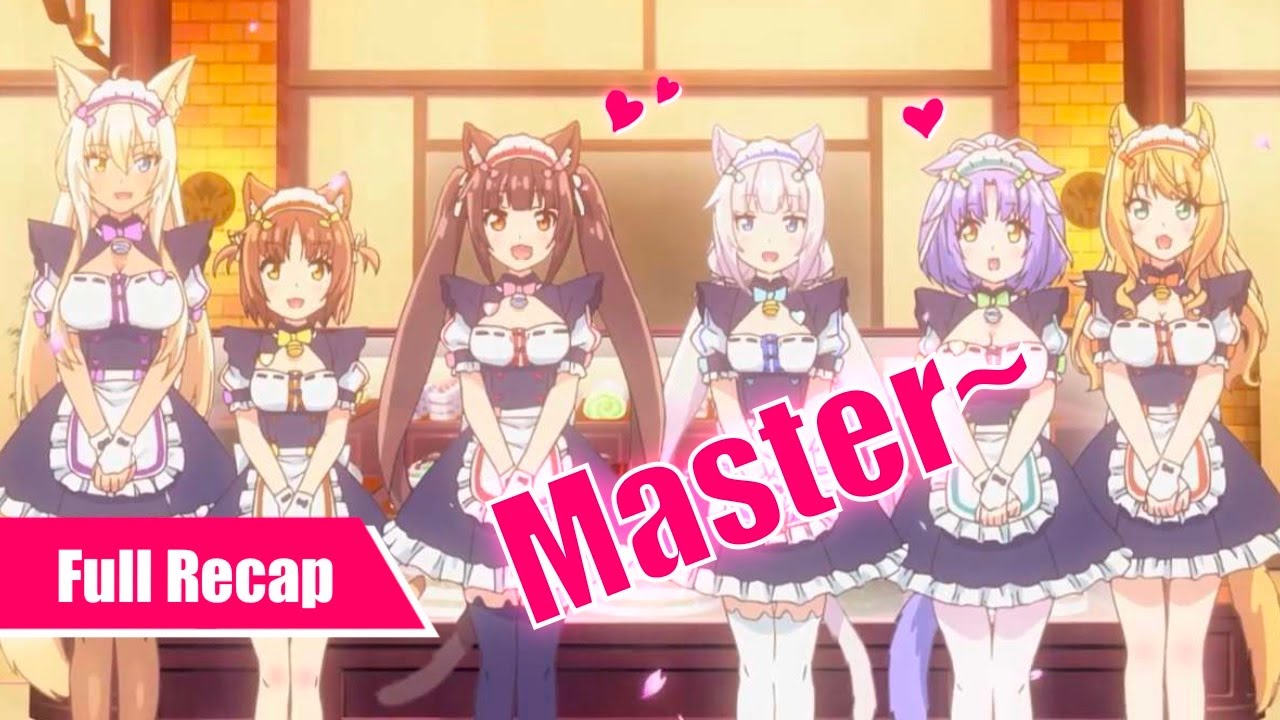 In This World You Can Own Cat Girls, And He Makes Them Work | Anime ...