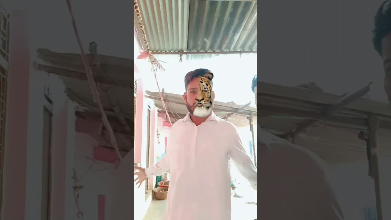 Tiger is beck..song - YouTube