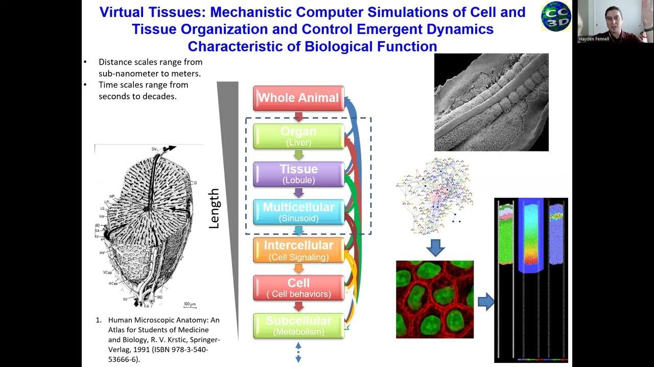 CompuCell3D Virtual Tissue Modeling Workshop 2024: Orientation Session ...
