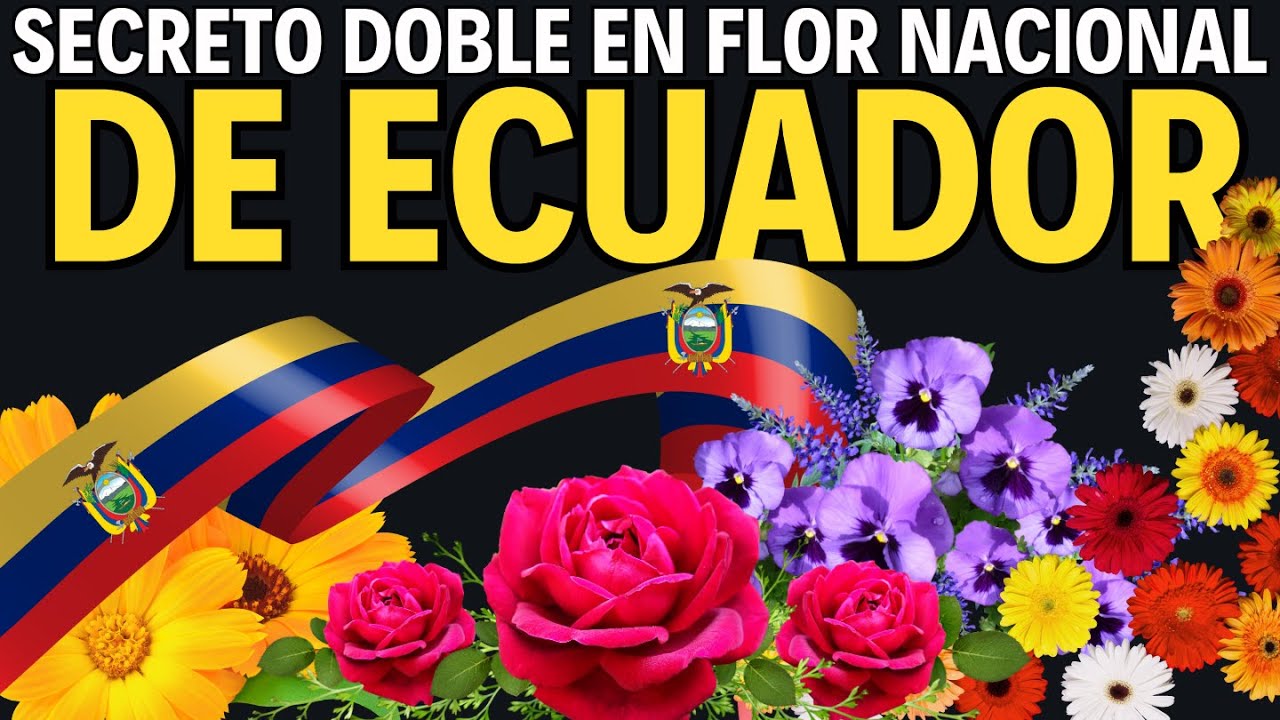 🚨 ¡Descubre el MISTERIO DOBLE de ECUADOR! 🌸🌹 ¡Una HISTORIA INCREÍBLE! 🌹 ...