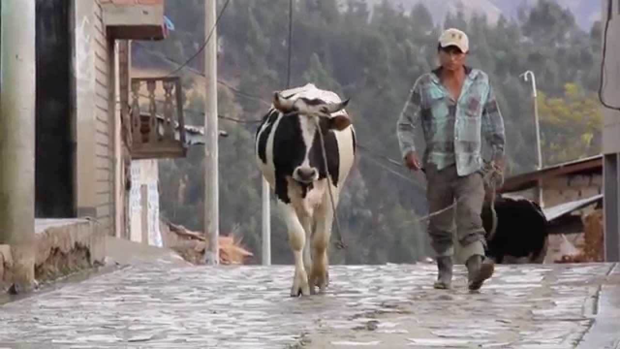 Cabana - PERÚ - YouTube