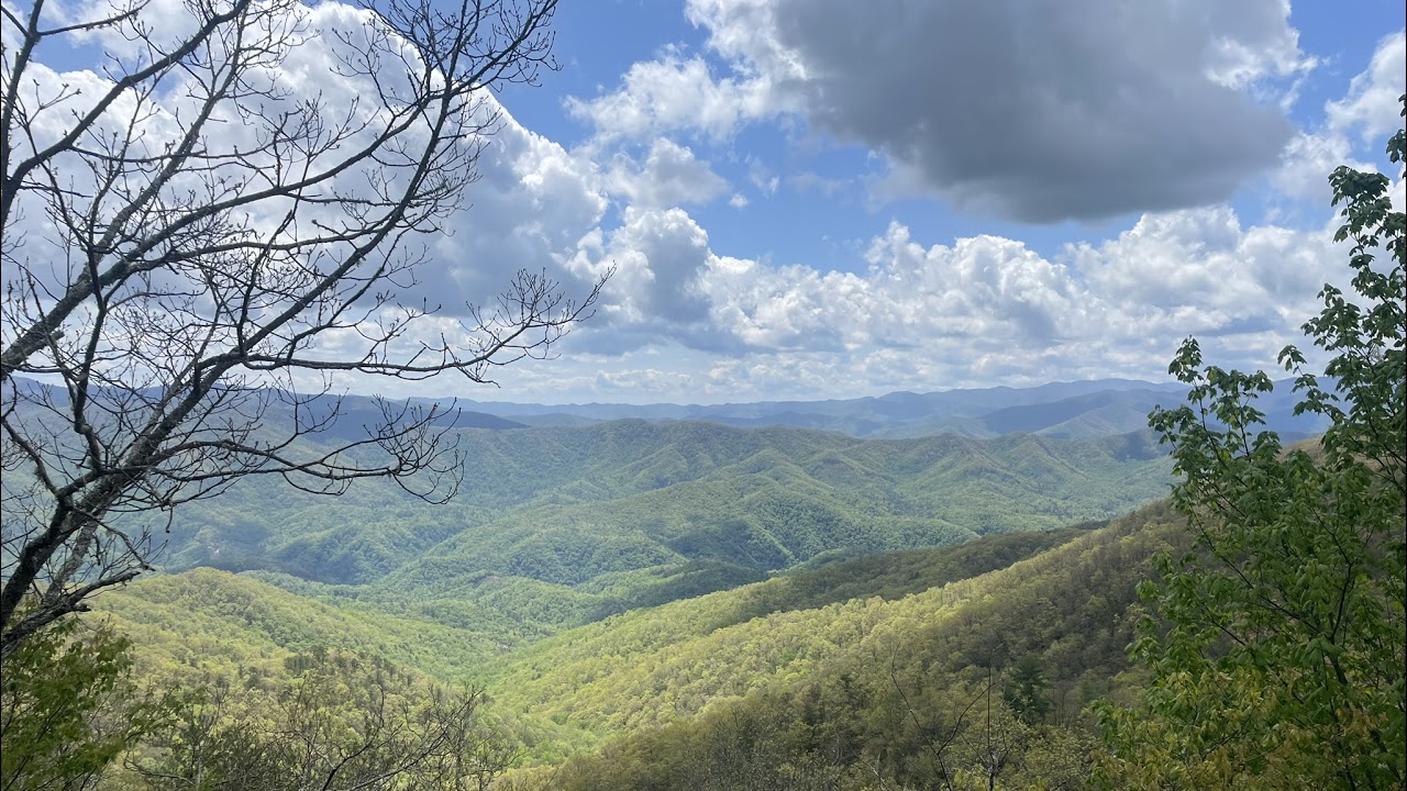 Convergence mod | Servant of Rot Co-op playthrough - YouTube