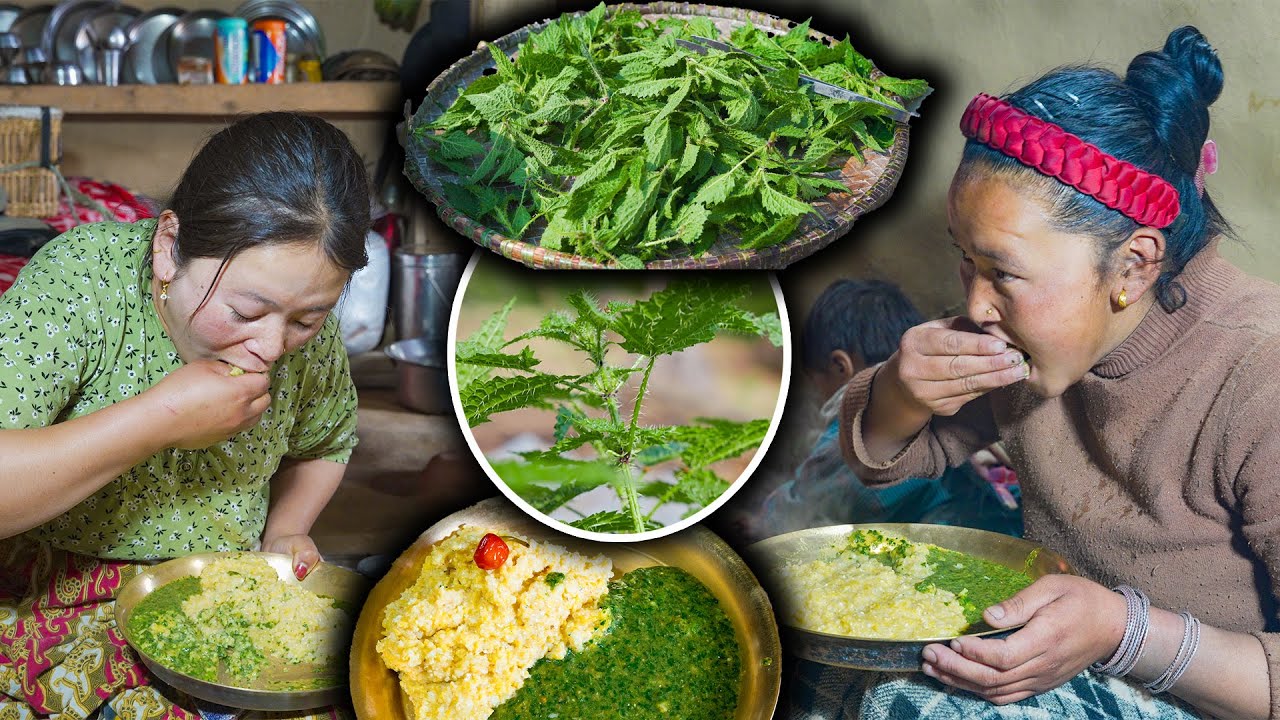 Nettles curry with Corn Rice THEPLA cooking & eating in Village ...