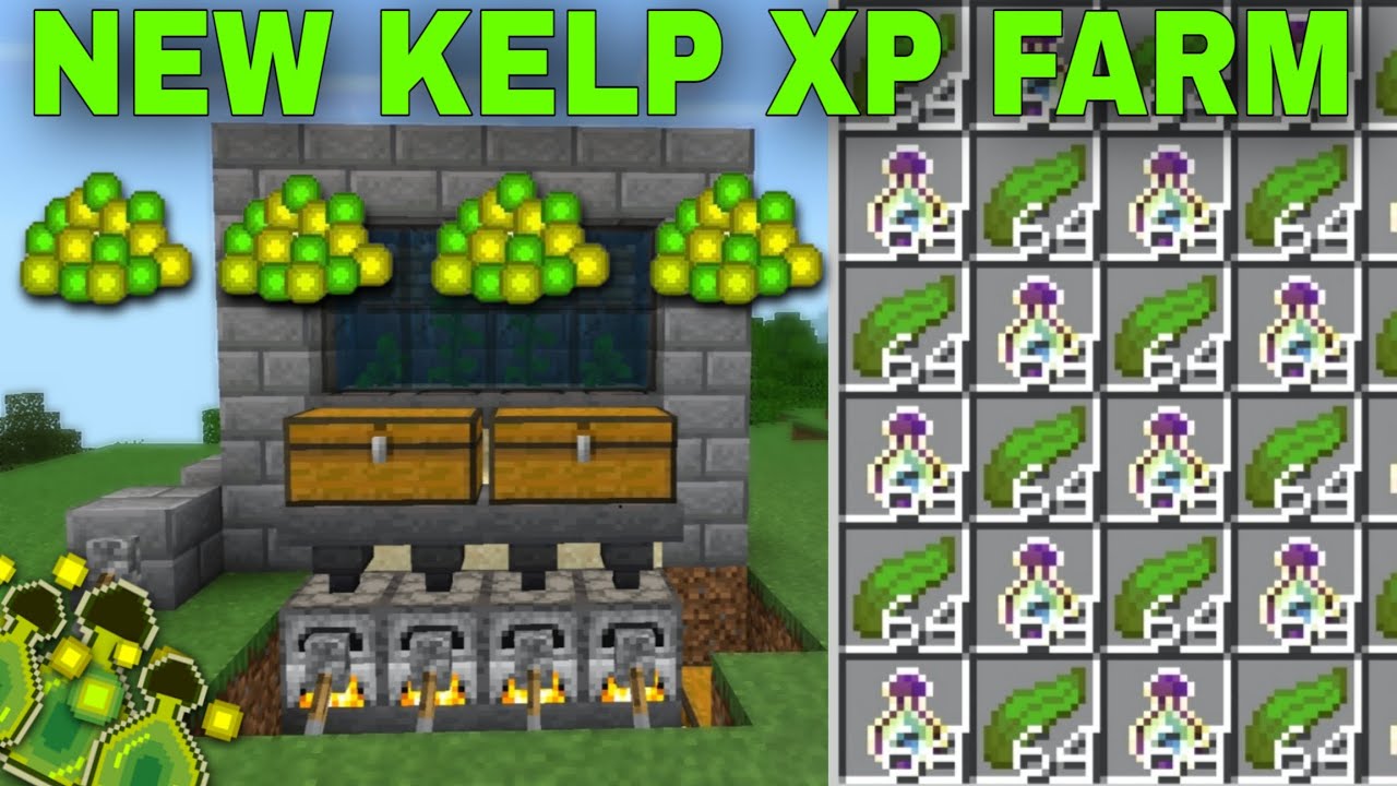 NEW KELP XP FARM TUTORIAL in Minecraft Bedrock 1.19 | Easy Zero Tick ...