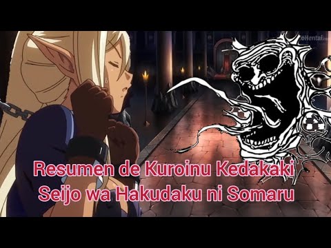Resumen de Kuroinu: Kedakaki Seijo wa Hakudaku ni Somaru