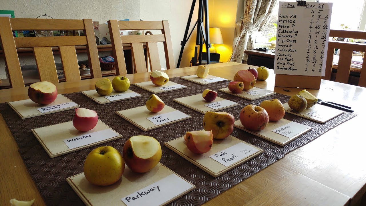 Apple tasting 2017 - 2018 Episode. 7 - YouTube