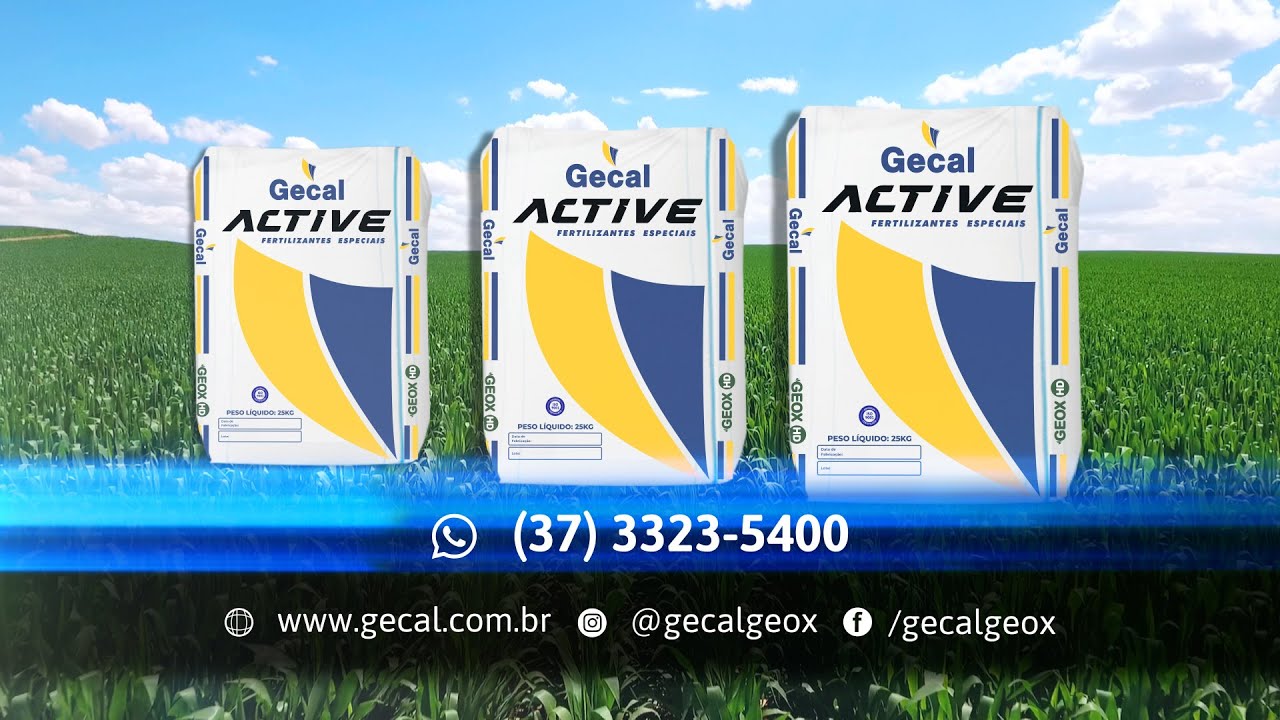 VÍDEO GECAL ACTIVE - YouTube