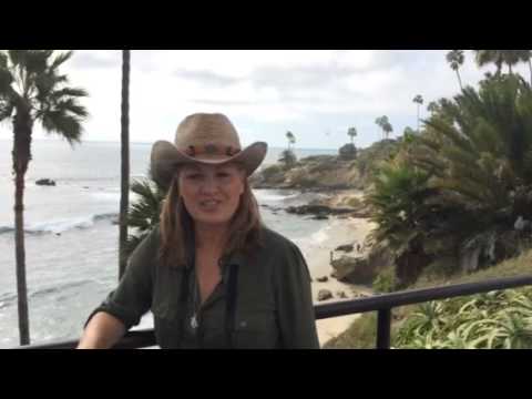 Cindy Baron - 2015 Laguna Plein Air Painting Invitational Artist - YouTube