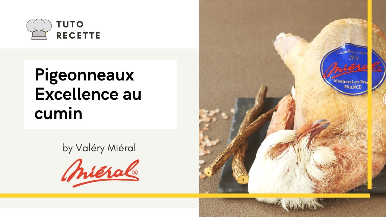 Comment cuisiner des pigeons tout simplement ? - YouTube