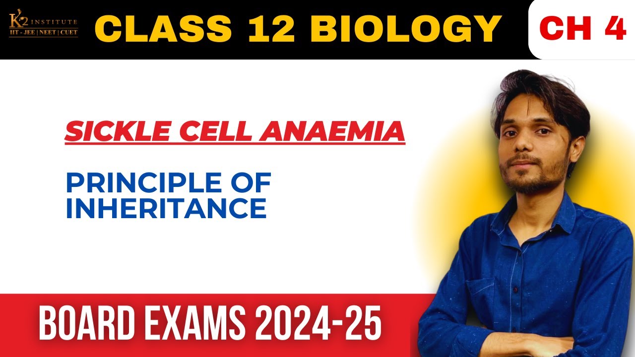 Sickle Cell Anemia - Principles of Inheritance and Variation | Class 12 ...