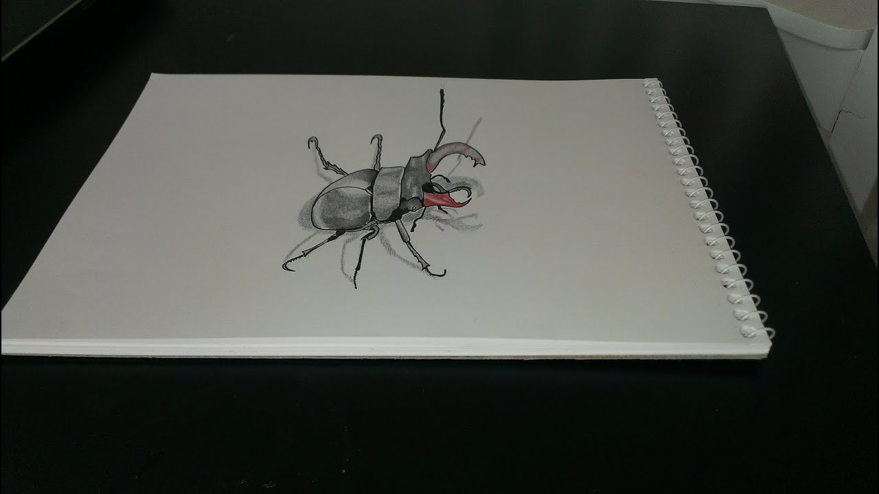 Speed drawing of a beetle , 3d trick art, 3d beetle drawing - YouTube