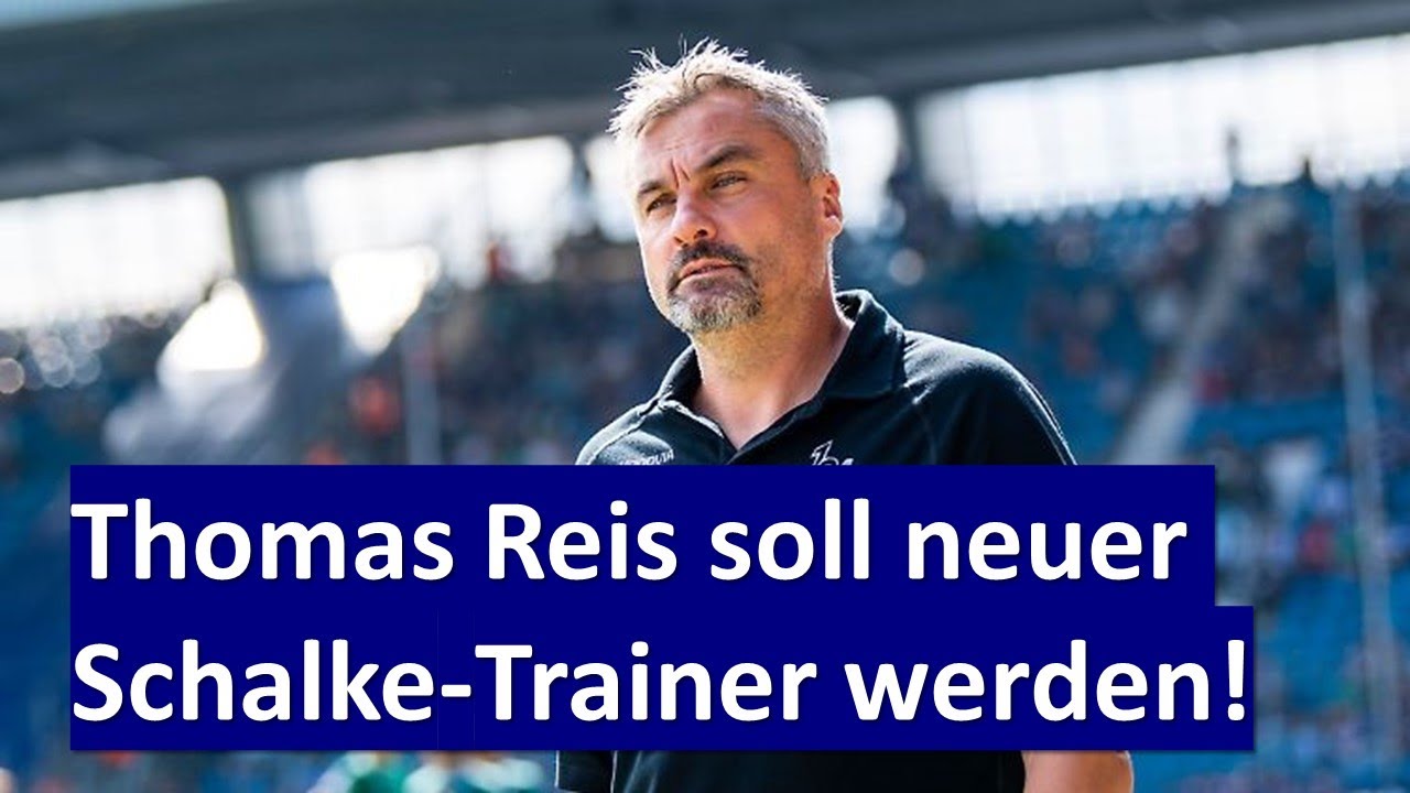Thomas Reis soll neuer Trainer von Schalke 04 werden! - YouTube
