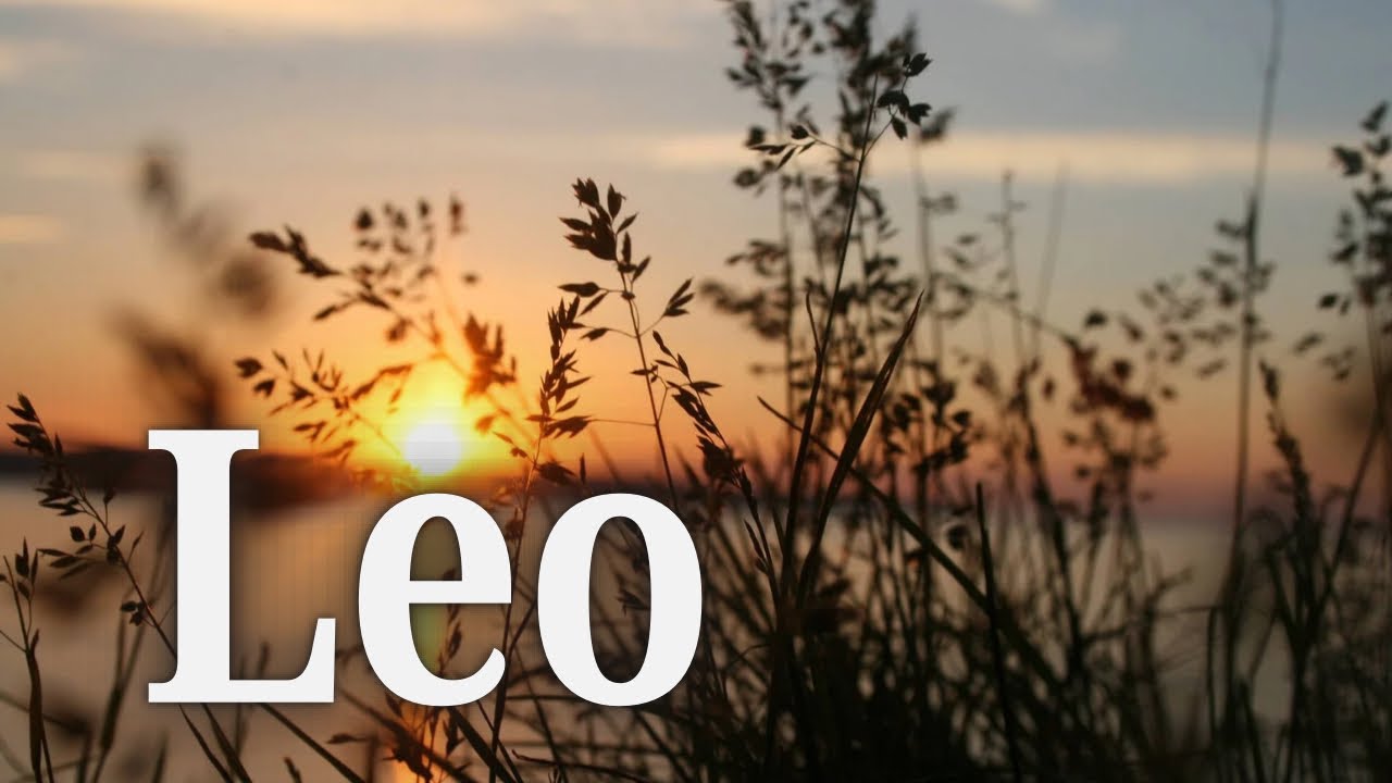 ️LEO - WOW LEO 😳 YOU’VE NEVER EXPERIENCED A LOVE LIKE THIS BEFORE ...