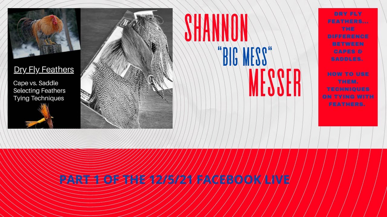 Shannon Messer FB LIVE PT 1 - YouTube