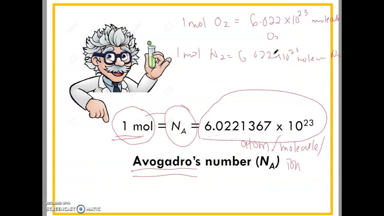 THE MOLE CONCEPT & AVOGADRO NO 1/5 - YouTube