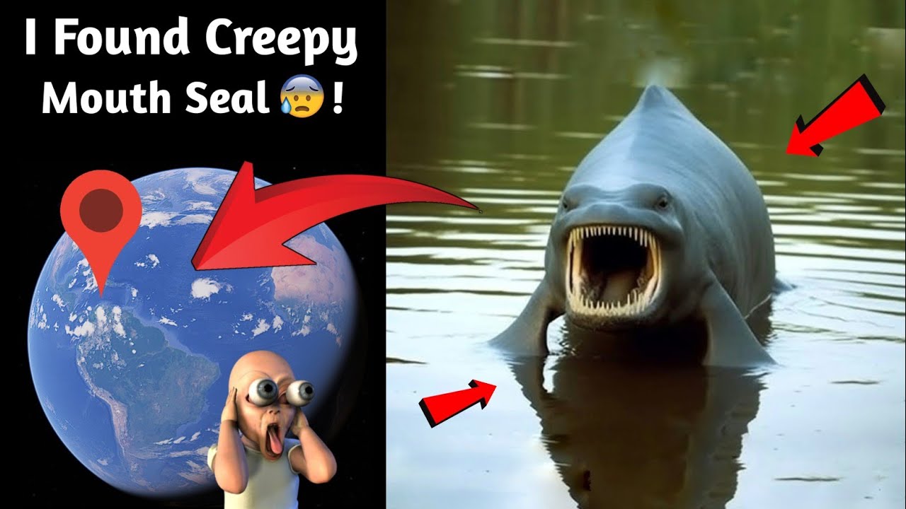 😰 I Found Creepy Mouth Seal Fish In Real Life On Google Earth And Maps ...