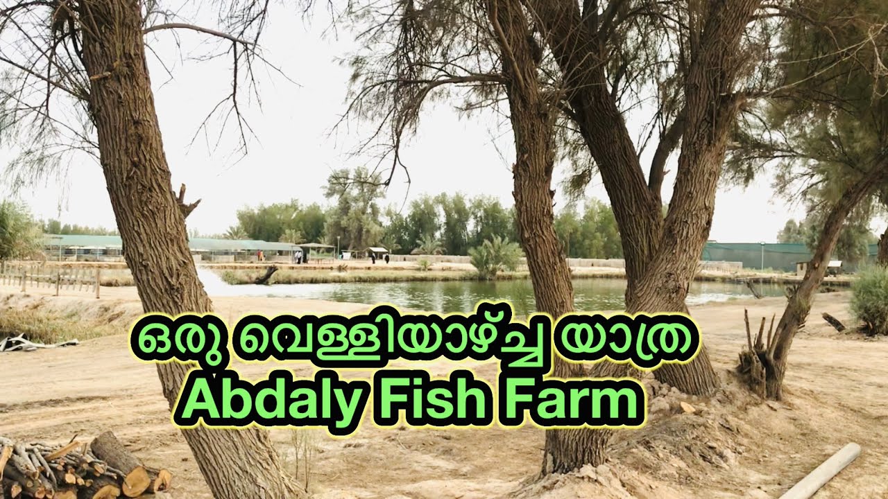 Abdaly Fish Farm / Abbassiya to Abdaly / Friday Trip/Mayalayalam - YouTube