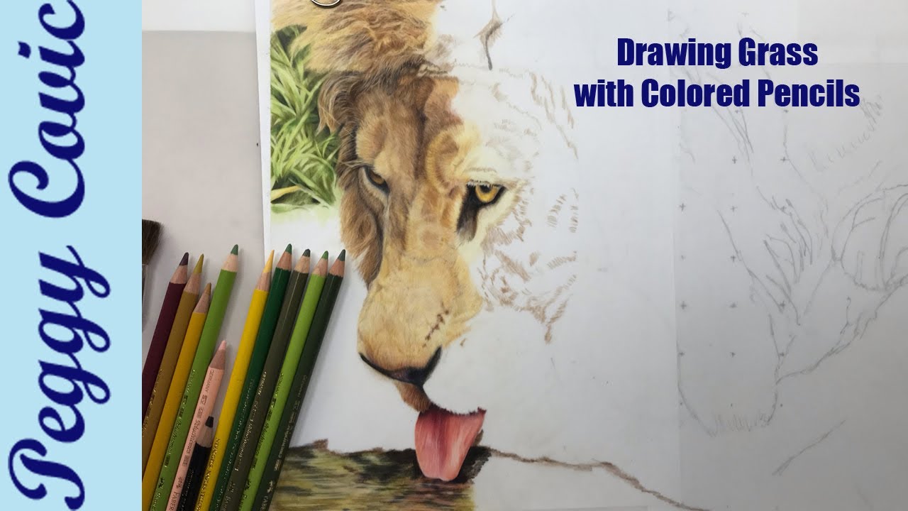 Drawing Grass with Colored Pencils - YouTube