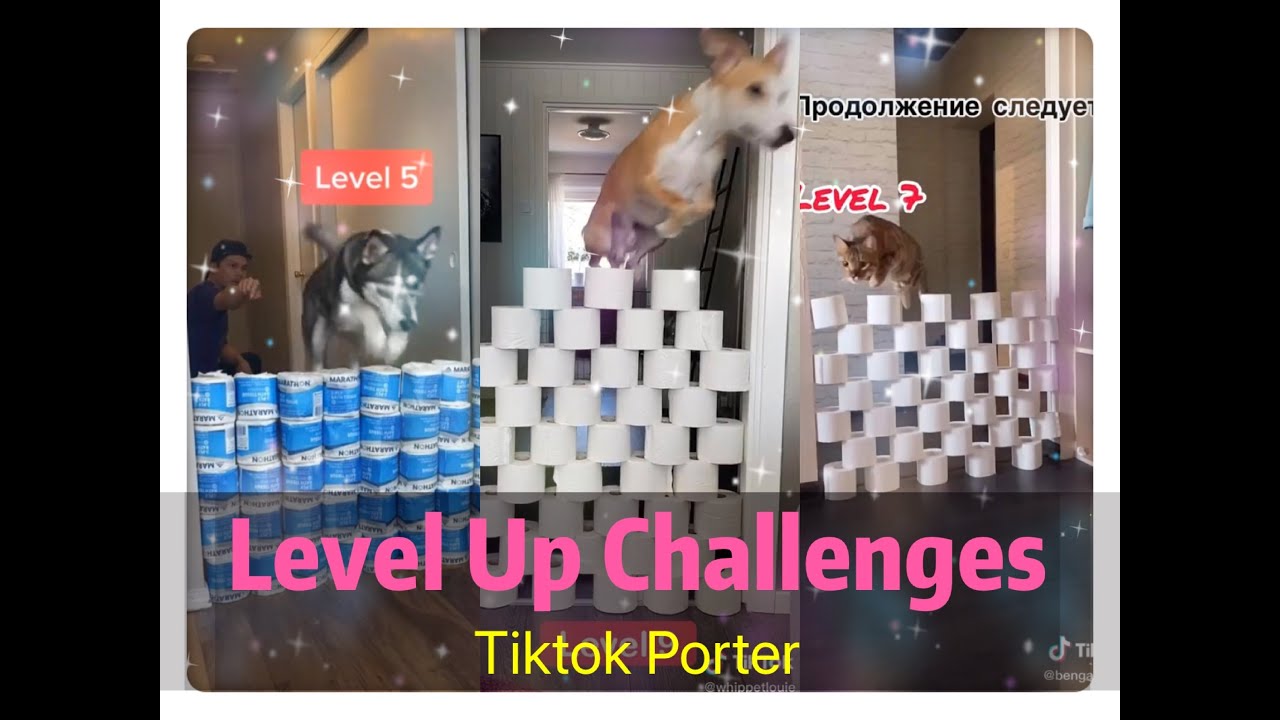 Level UP Challenges 🧻 🧻 🧻 🐱🐶 Tiktok Compilation --- Tiktok porter - YouTube