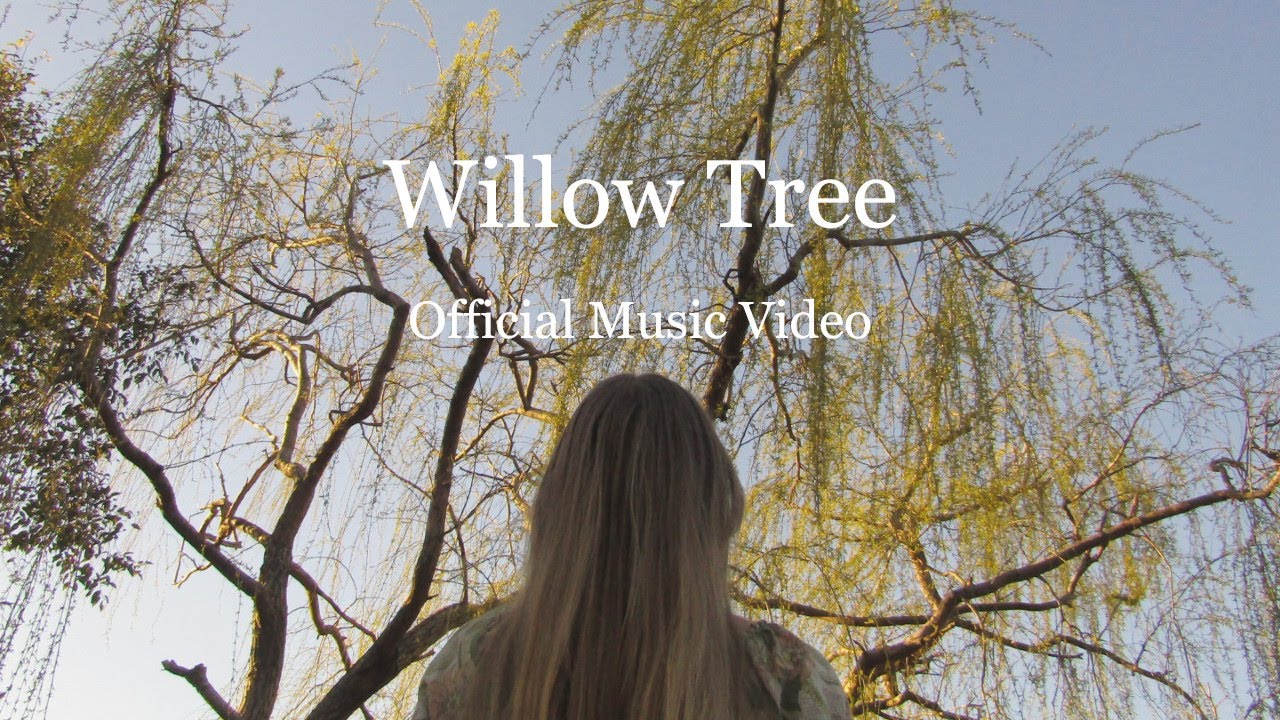 Willow Tree Official Music Video - YouTube