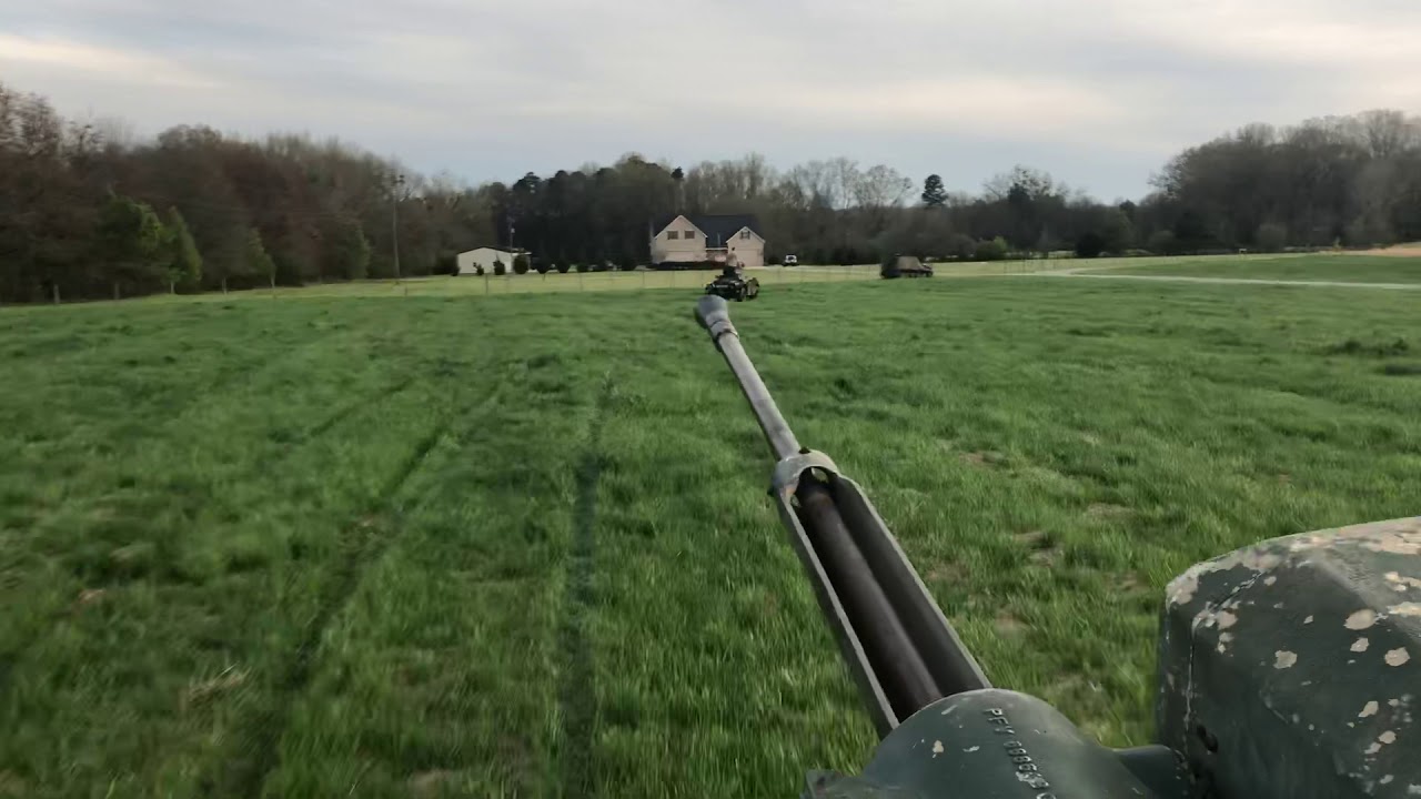 Chasing a Ferret - YouTube