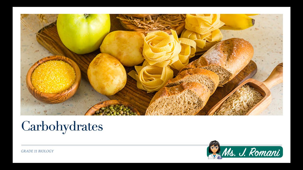 Lesson Video - Carbohydrates - YouTube