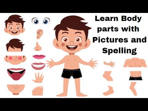 Body Parts | Parts of Human body name for kids | Body Parts name with ...