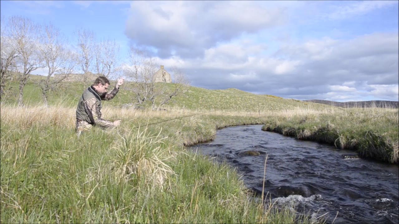 Fly Fishing in small stream Scotland - YouTube