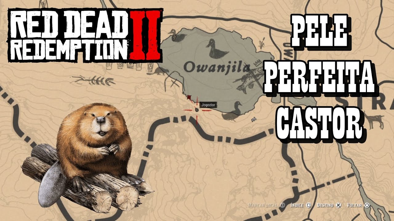 RED DEAD REDEMPTION 2 PELE DE CASTOR PERFEITA - YouTube