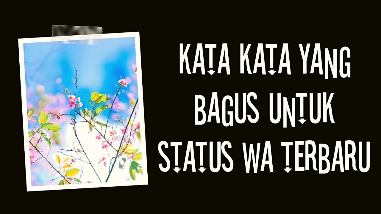 Kata Kata Yang Bagus Untuk Status Wa Terbaru - YouTube