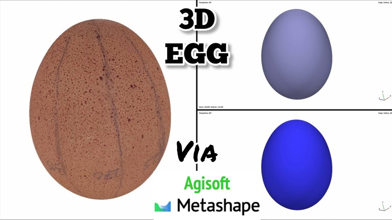 3D EGG VIA AGISOFT METASHAPE (10LOOPS)| WHOLE BUILDING PROCESS - YouTube