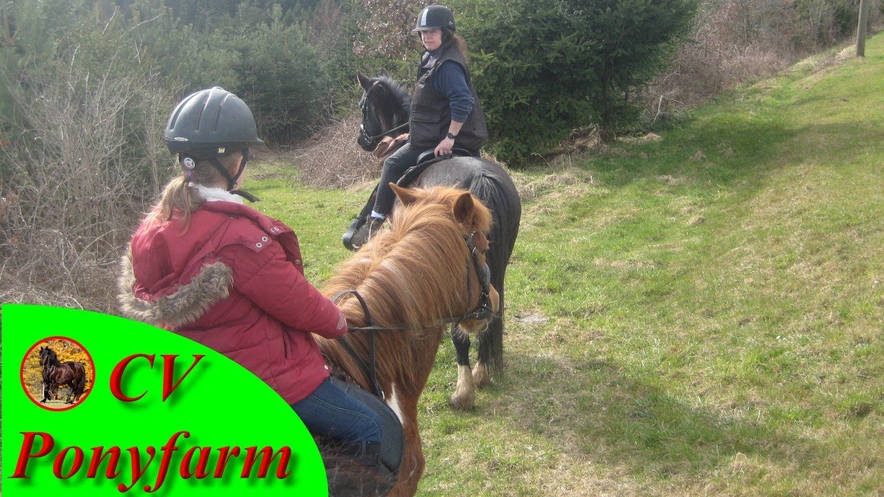 Reiten mit der CV Ponyfarm: Die Ponyreiter an Ostern im Galopp durch den Wald - Frühling 2018 ...